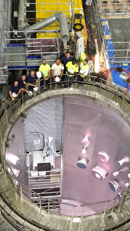 Reactor pool liners - Cegelec CEM